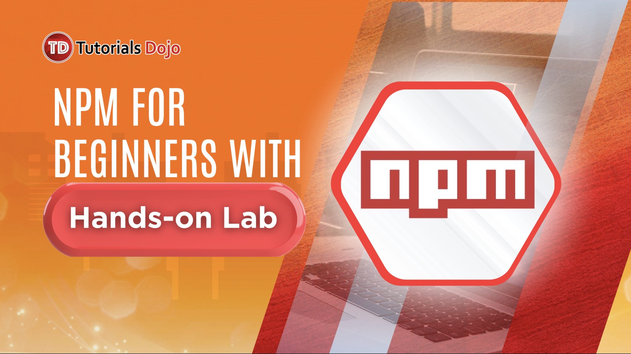 Courses – Tutorials Dojo Portal App